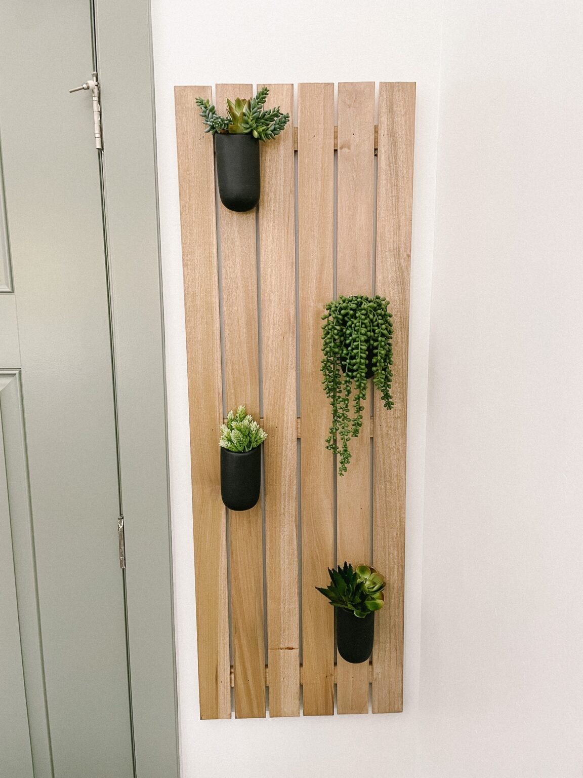 How to Build an Easy DIY Plant Wall - SPetrichHome